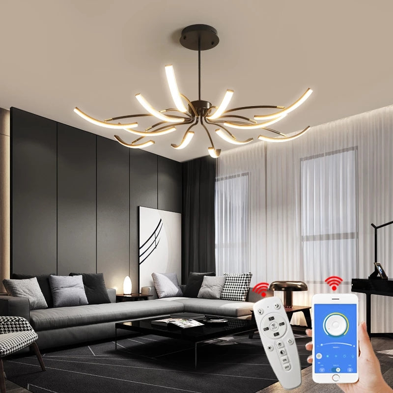 Luster Design Ceiling Light – Misterlamp Melbourne