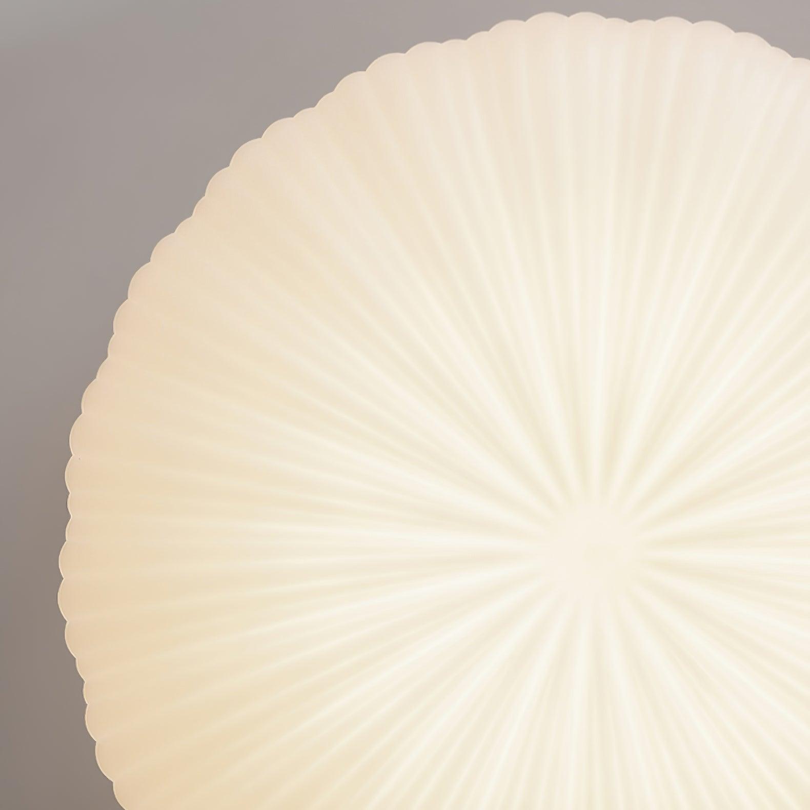 Robby Ceiling Light – Misterlamp Melbourne