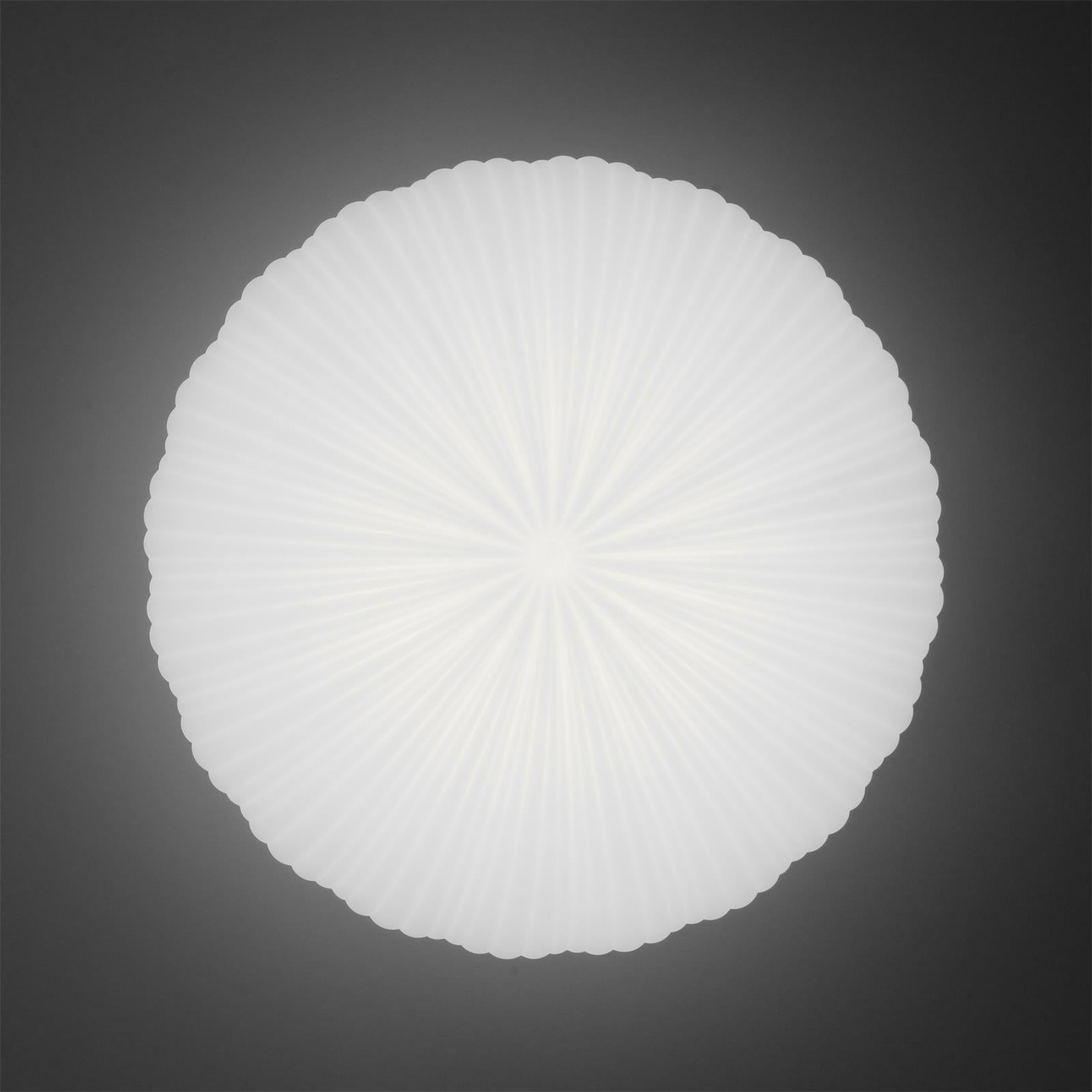 Robby Ceiling Light – Misterlamp Melbourne