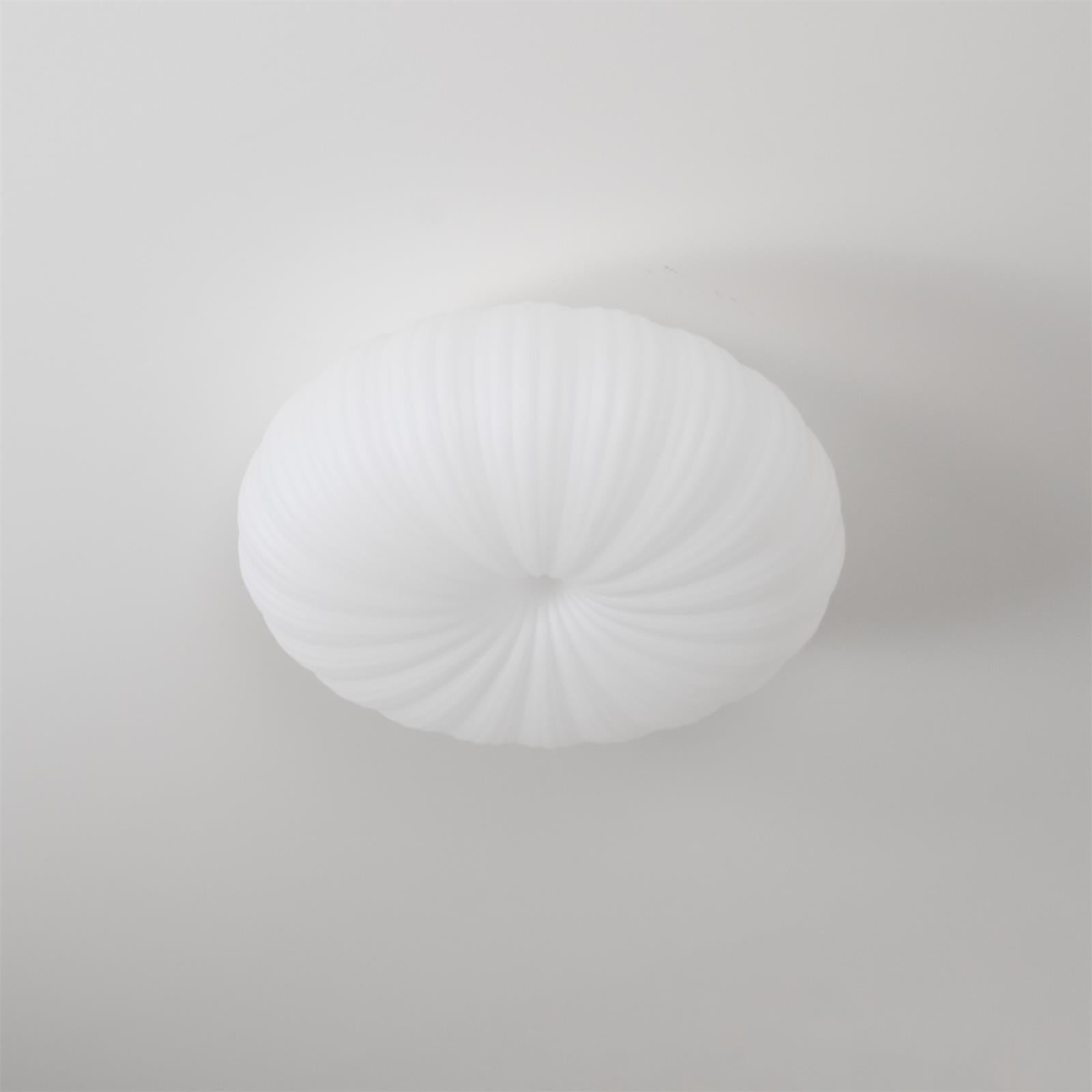 Robby Ceiling Light – Misterlamp Melbourne